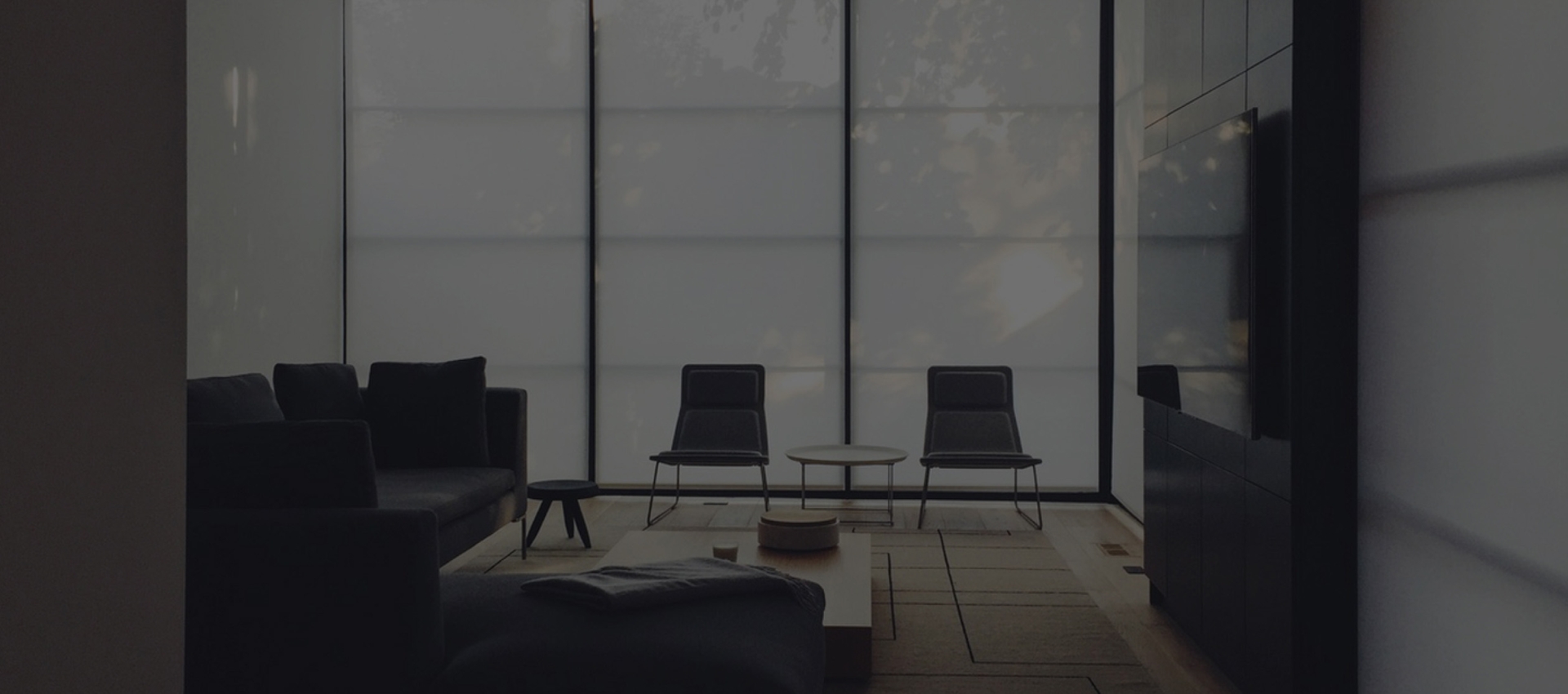 Proseo Shades - Savant