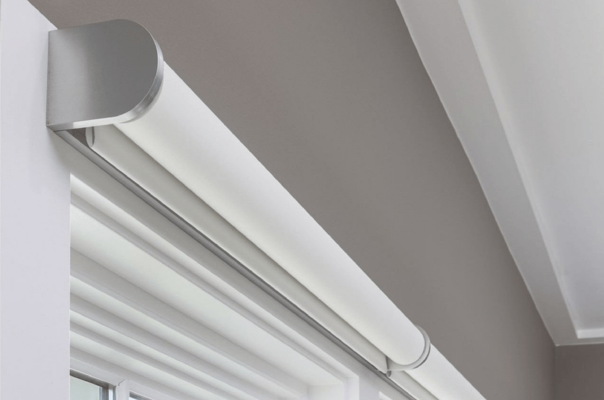 Proseo Shades - Savant